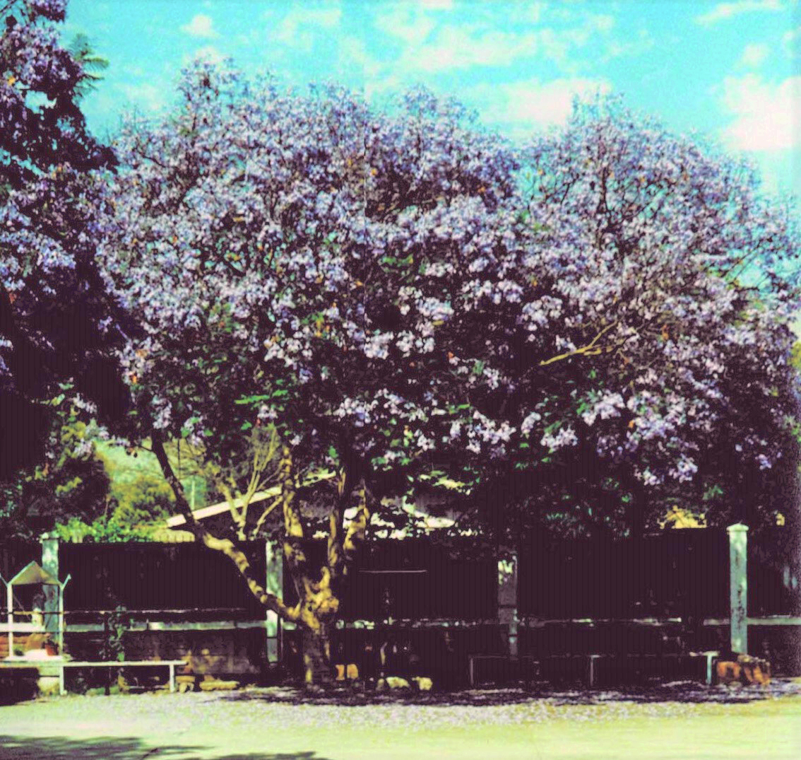 Sobre Nosotros – Escuela Ulda Aracena González